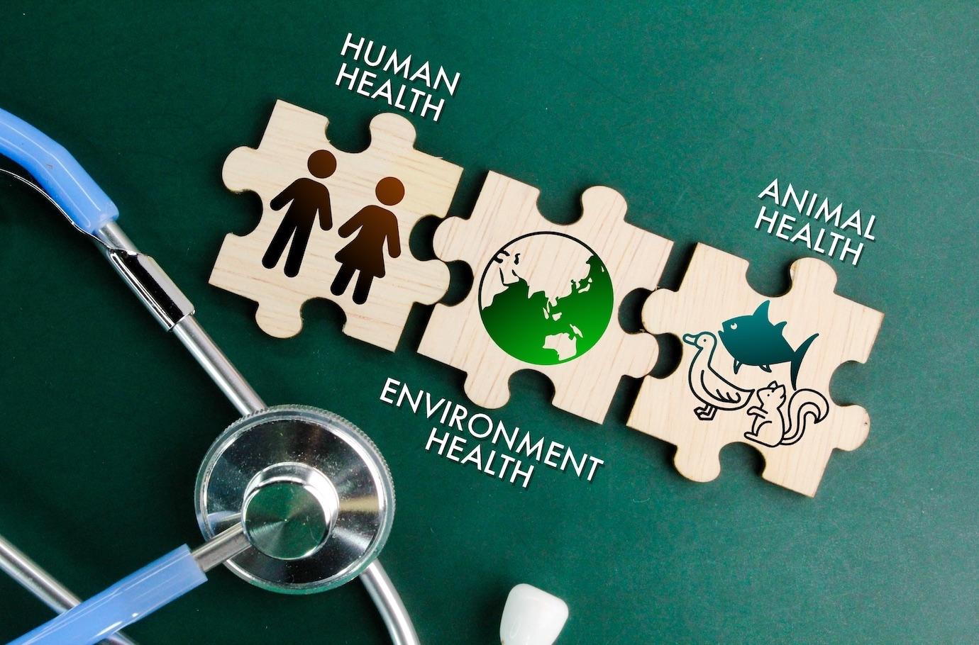 One Health in Italia, il digitale è decisivo per l'interoperabilità dei ...